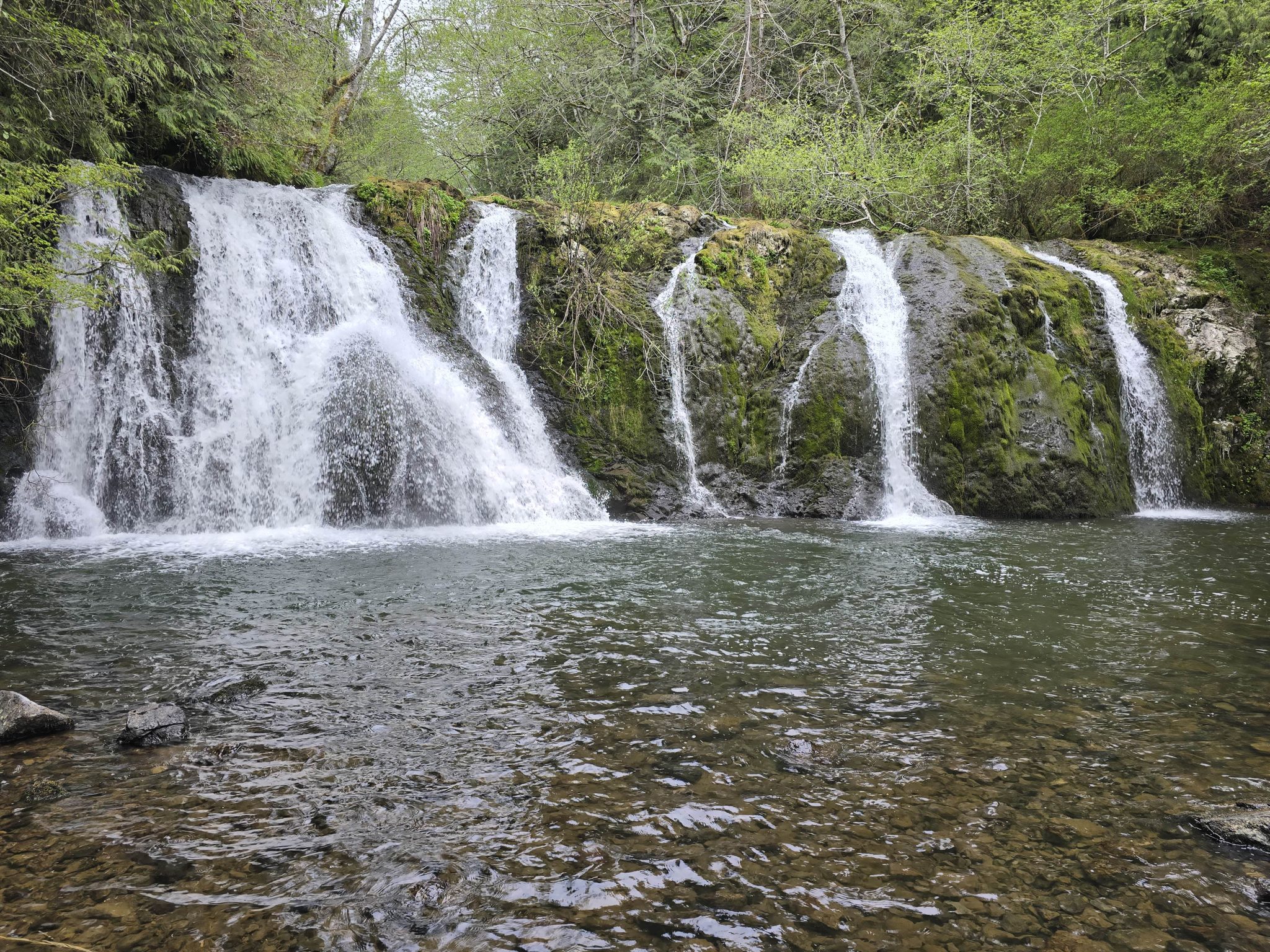 Olympic National Park: Waterfalls, Cape Flattery Trail & Shi Shi Beach ...